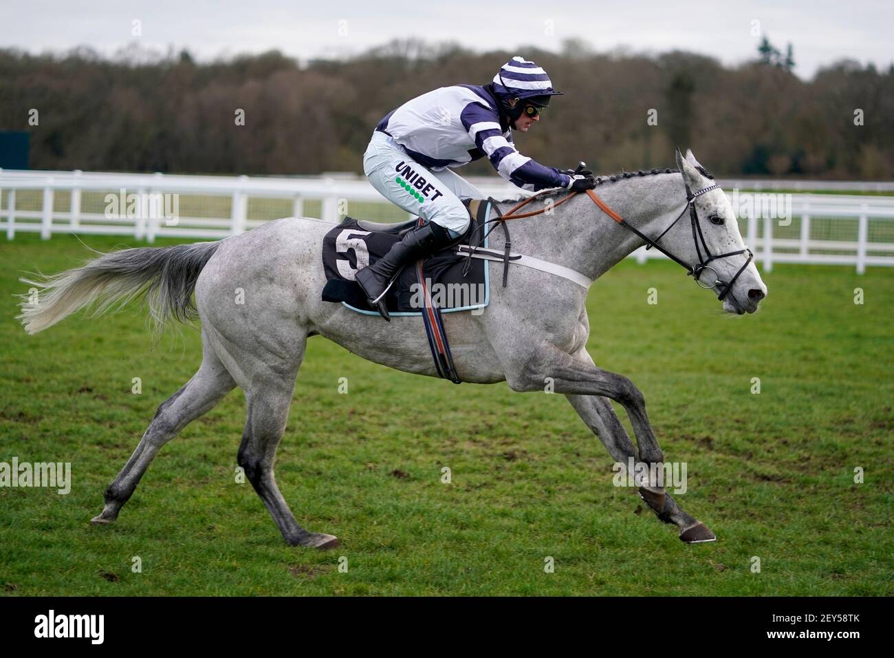 Highclere horse hi-res stock photography and images - Alamy