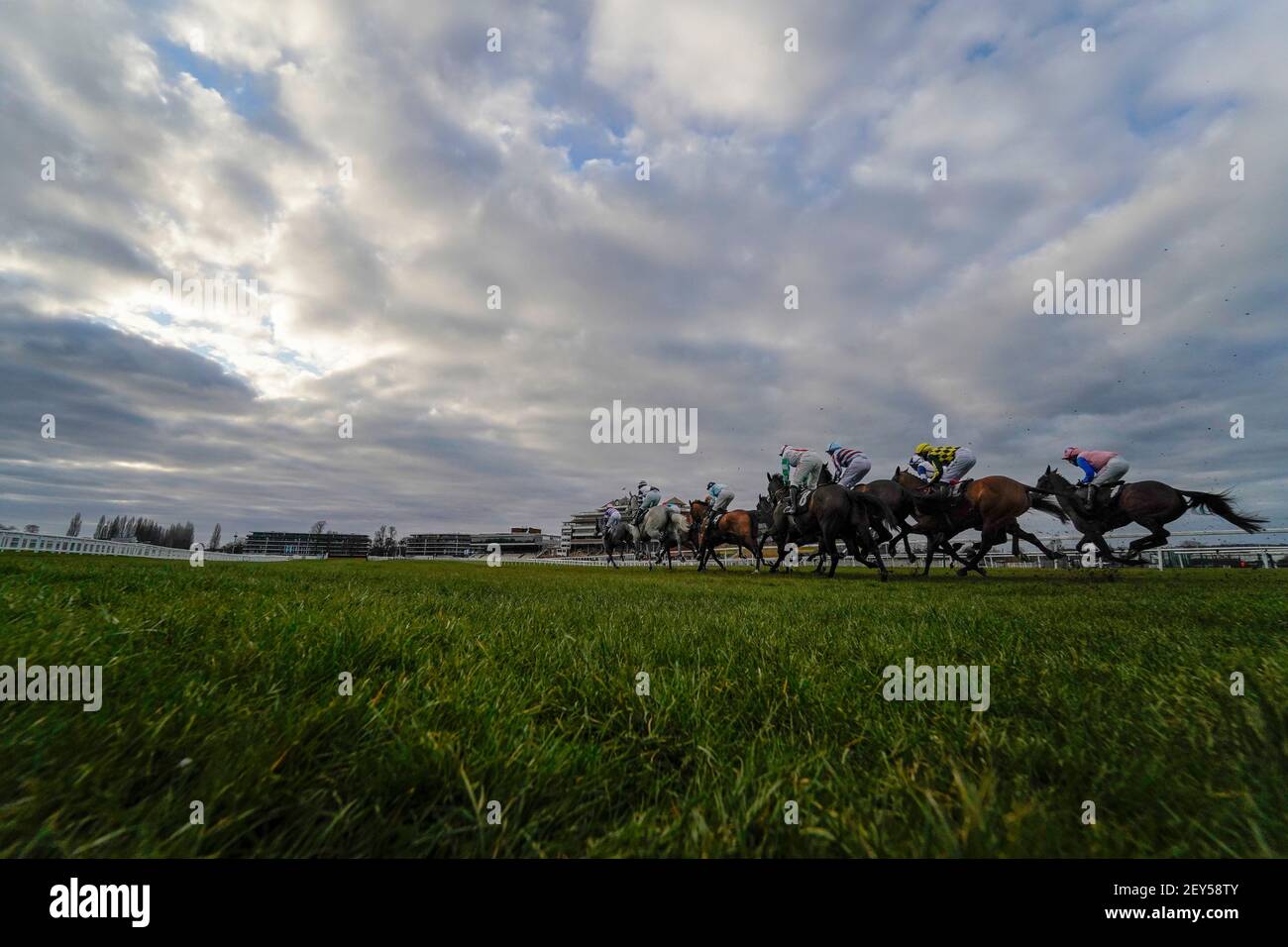 Highclere horse hi-res stock photography and images - Alamy
