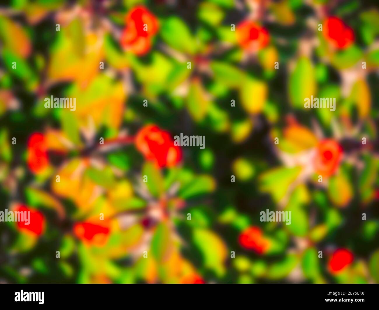 Horizontal spring hi-res stock photography and images - Alamy