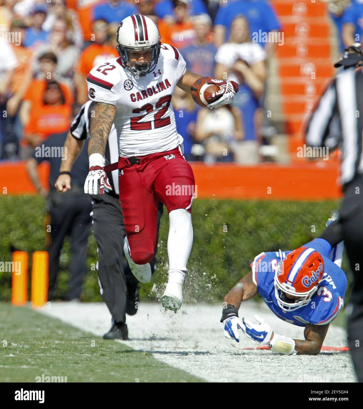 South Carolina running back Brandon Wilds (22) tip-toes the sideline as ...
