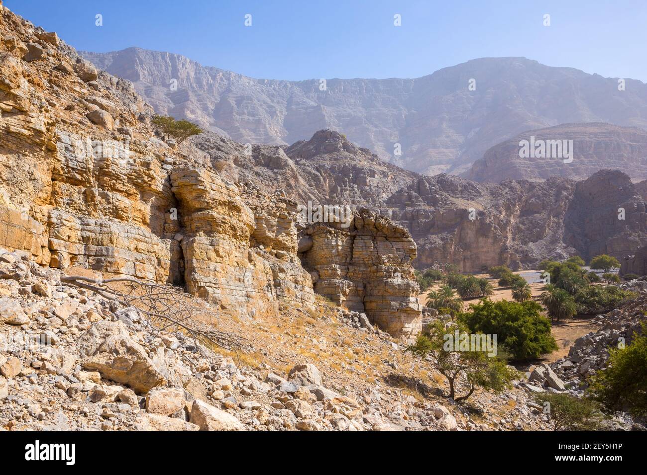 Hidden Oasis in Jabel Jais mountain range, landscape view with green ...