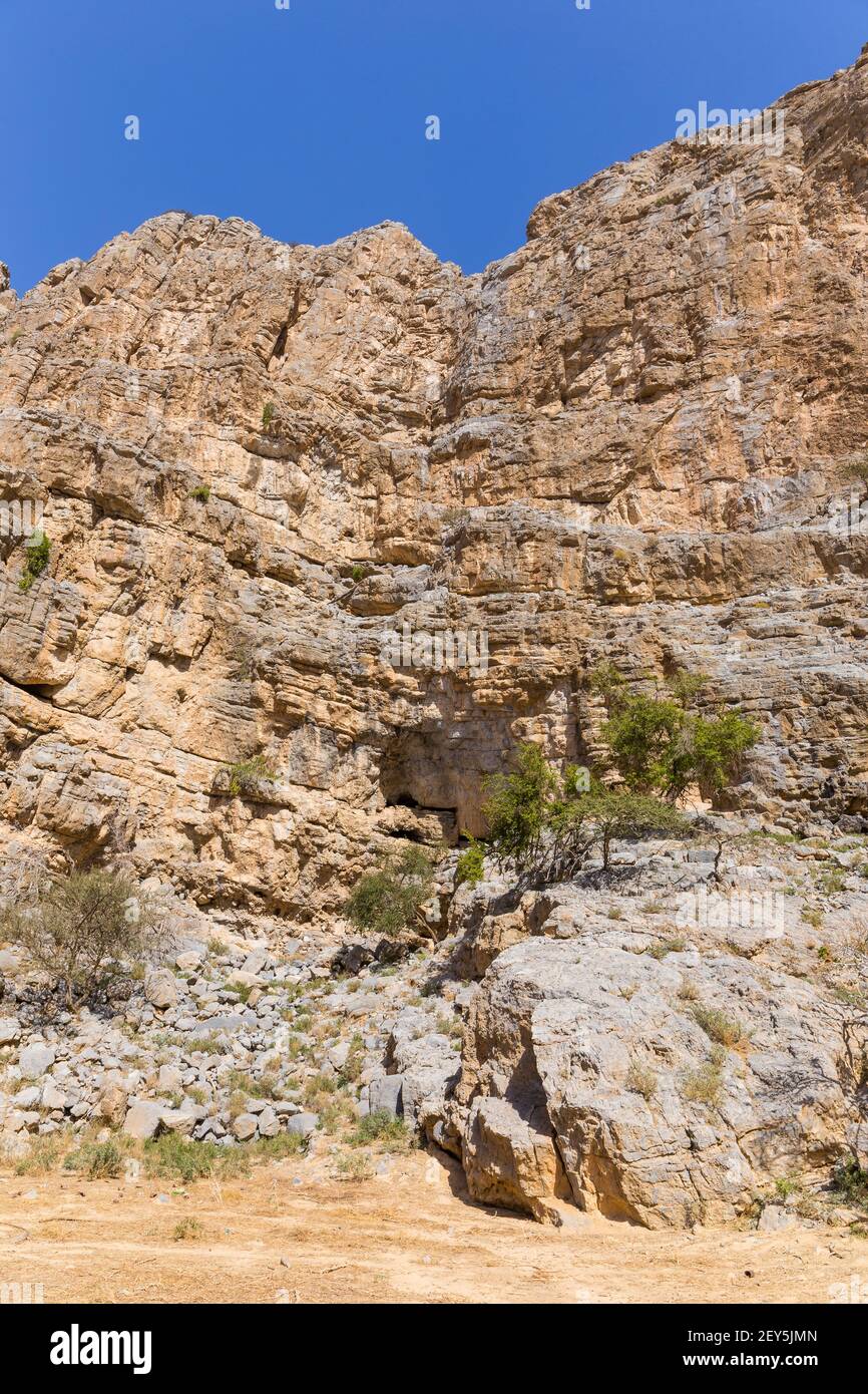 Vertical limestone cliff in Hidden Oasis in Jebel Jais mountain range ...