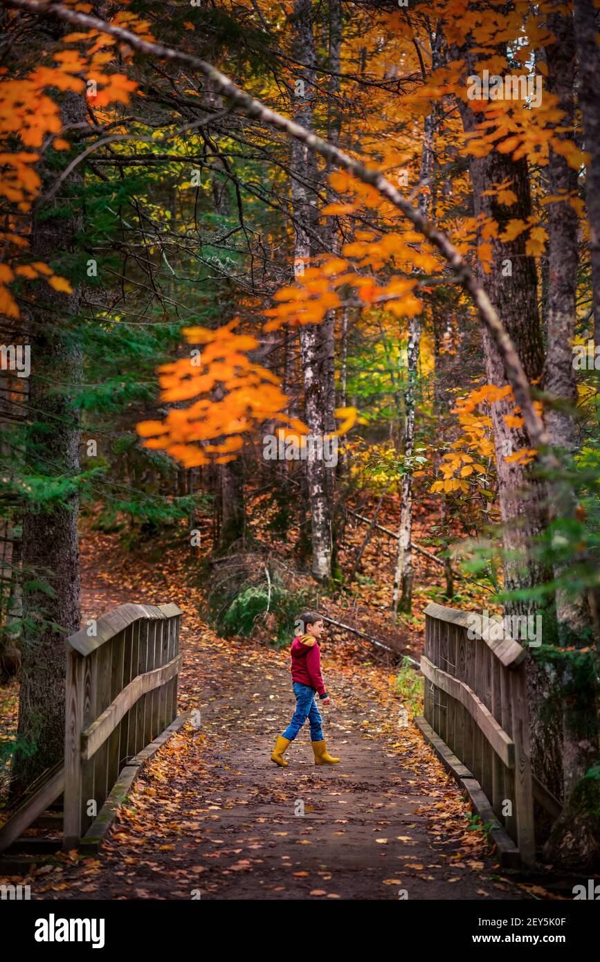 boy walking on dirt trail in the woods in a park during autumn Stock ...
