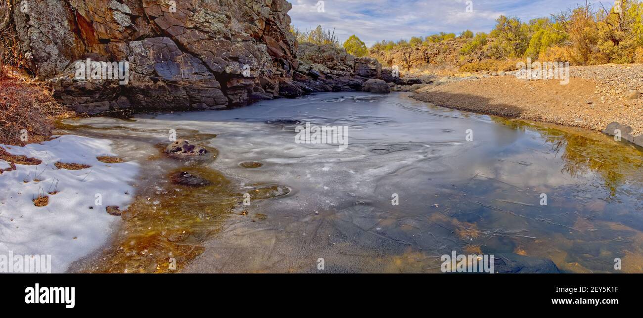 Devil dog hi-res stock photography and images - Alamy