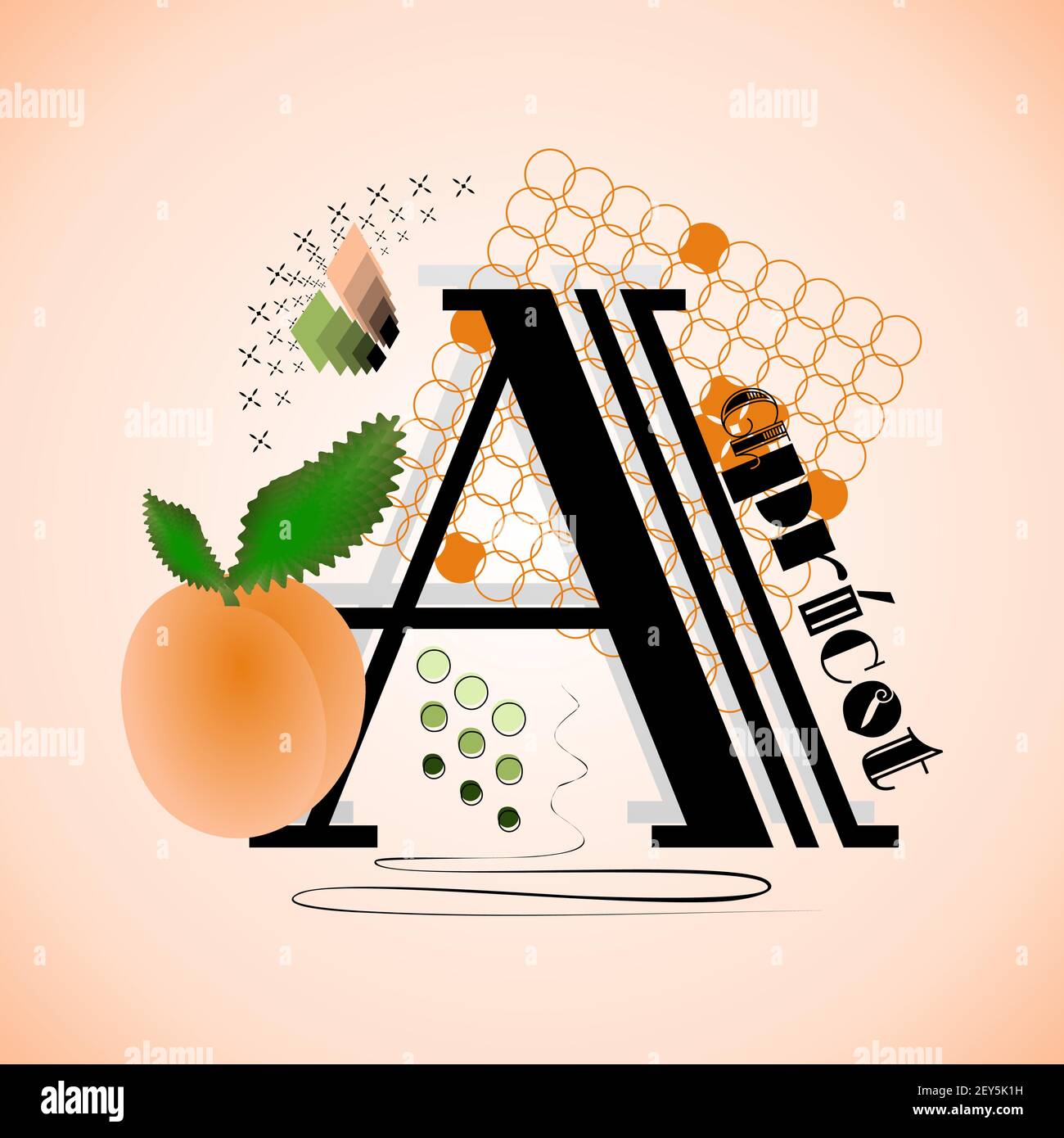 Apricot berries Stock Vector Images - Alamy