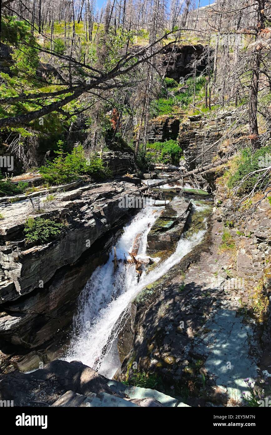 Vertical photograph picture image hi-res stock photography and images ...