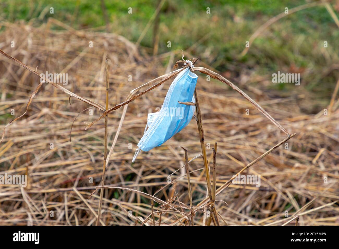 Improper mask use hi-res stock photography and images - Alamy