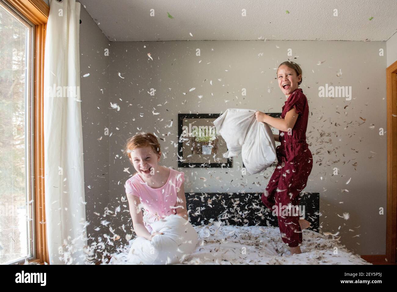 Pillow Fight Feathers