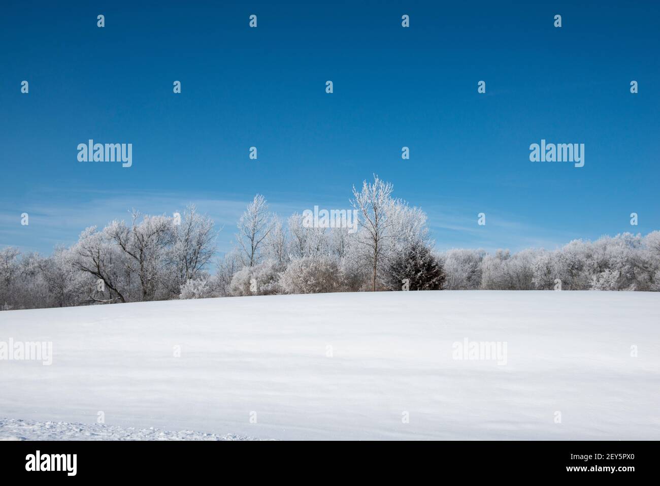 Beautiful snowy winter scene in rural setting Stock Photo - Alamy
