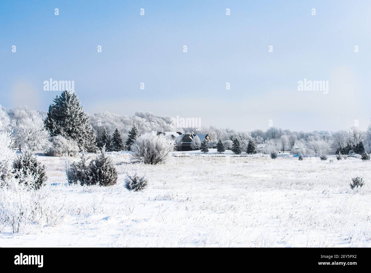 Beautiful rural winter scene with snow covered plants and trees Stock ...