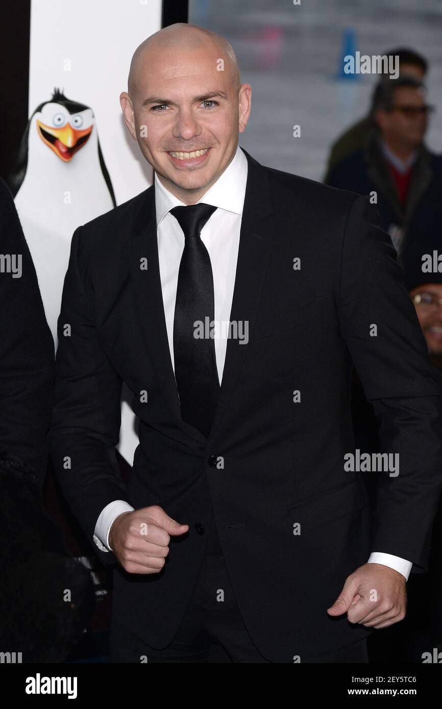 Entertainer PitBull attends the "Penguins Of Madagascar" New York ...