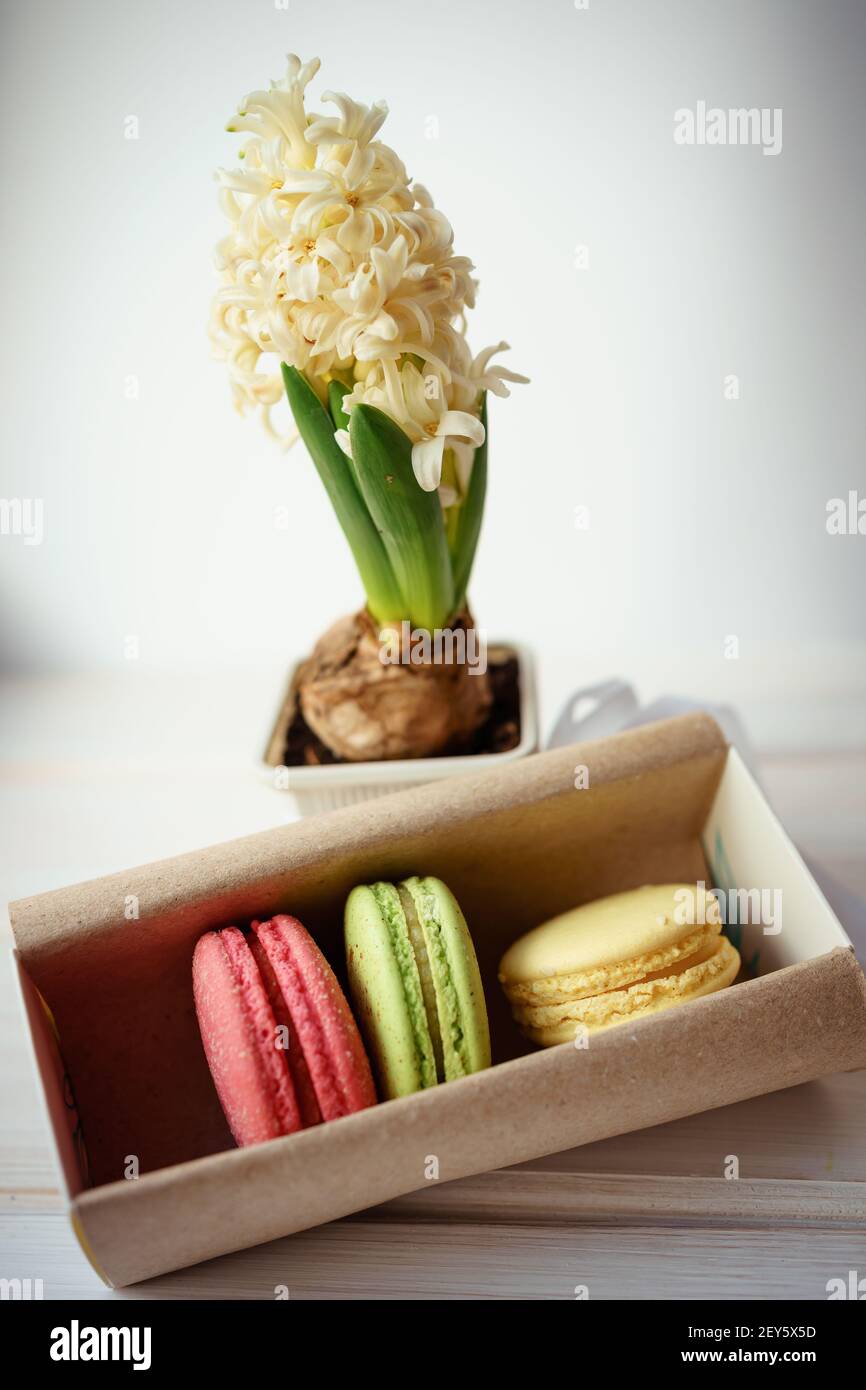 pink, green and yellow macaroni in a box and white hyacinth Stock Photo ...