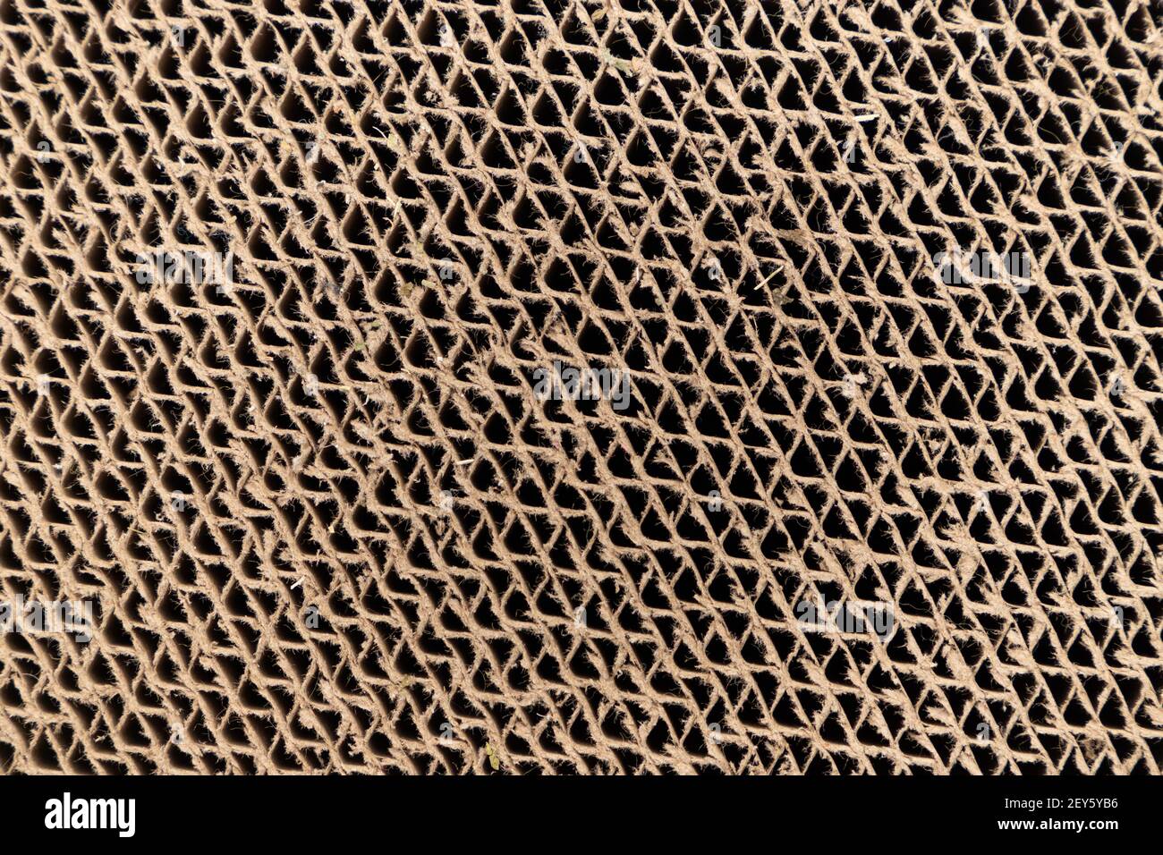 Scratching posts hi-res stock photography and images - Alamy