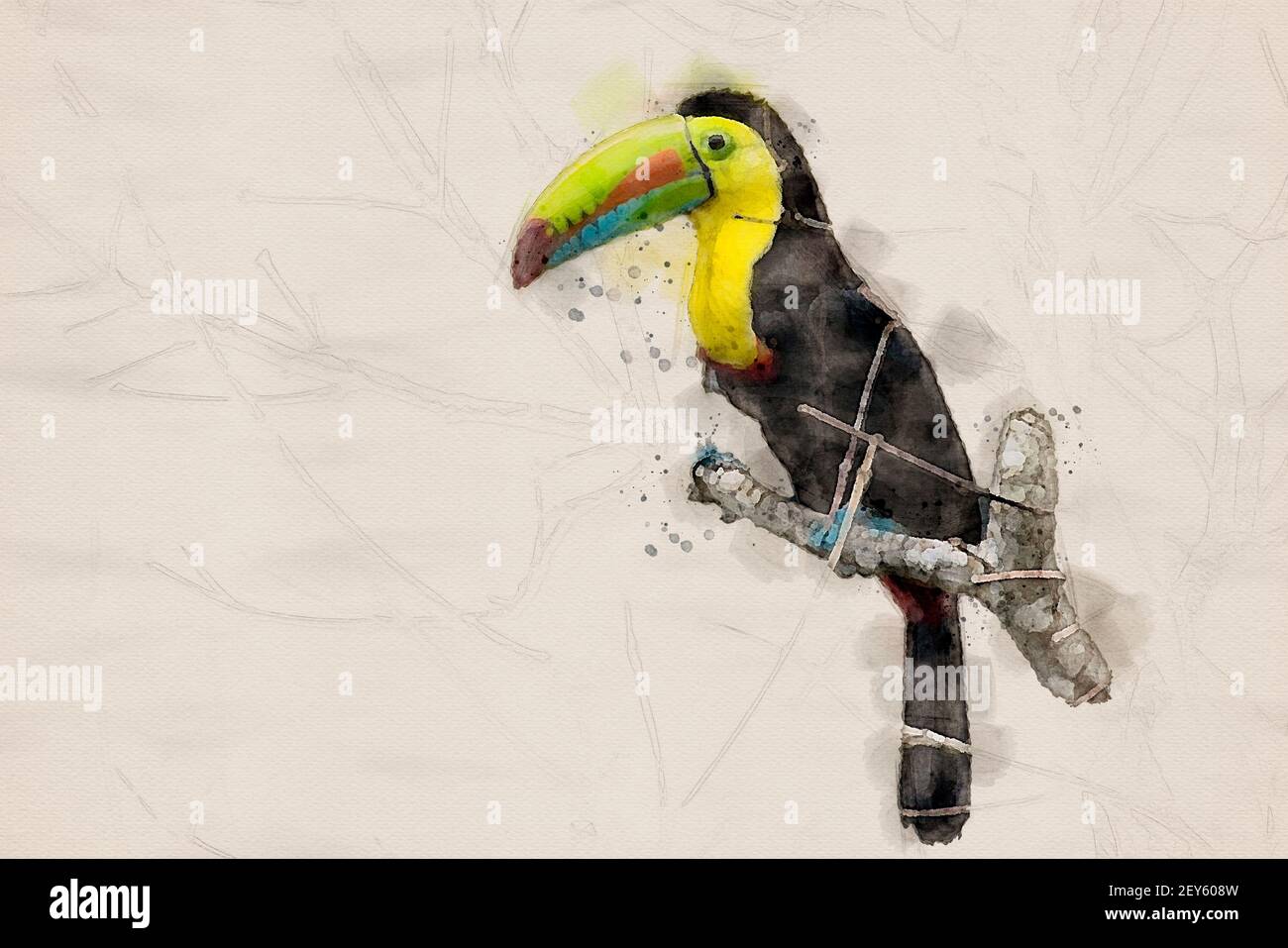 Watercolor animal print hi-res stock photography and images - Alamy