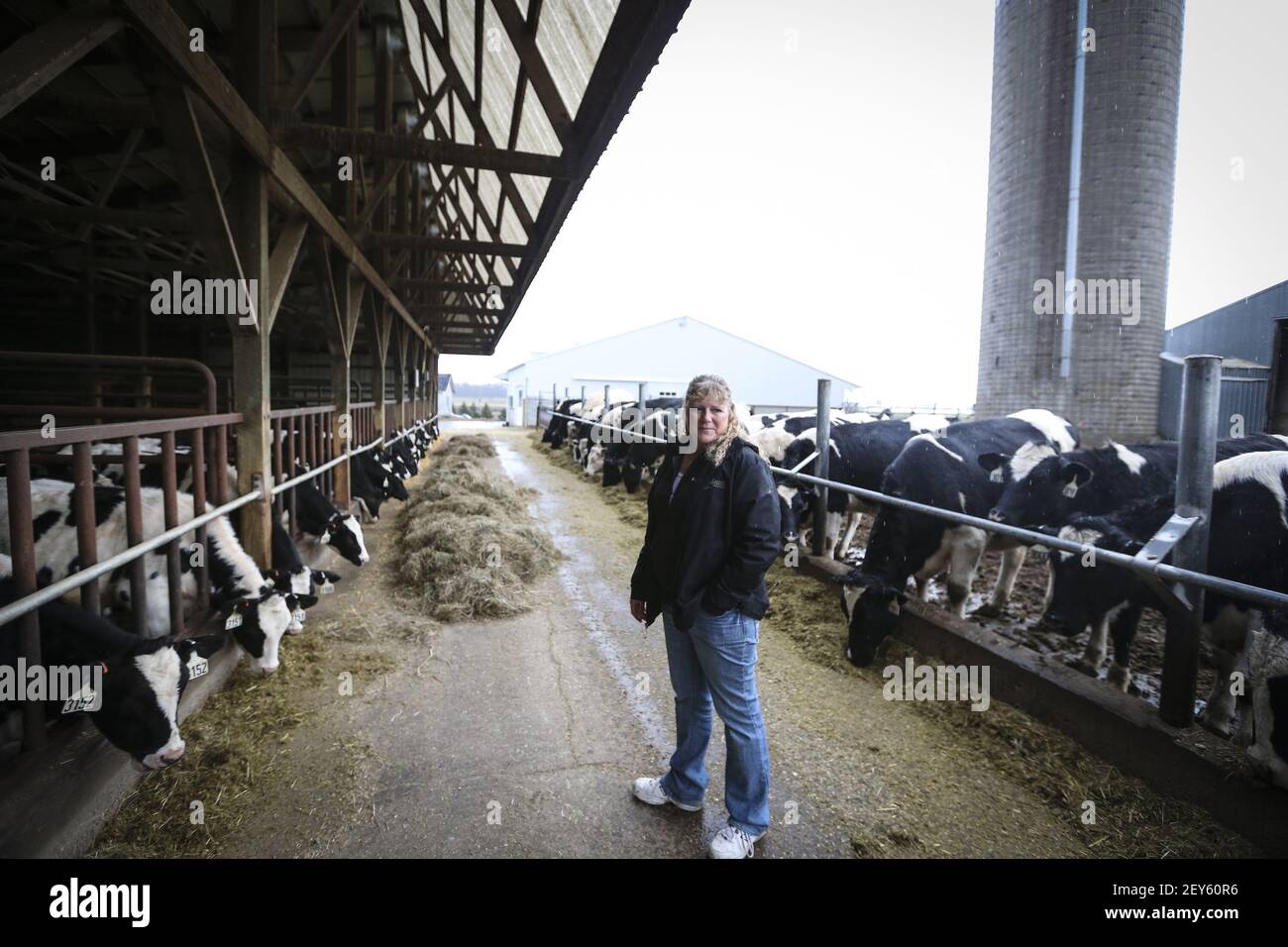 Michele Rohe is pictured at her dairy farm near Freeport, Minn. (Photo ...
