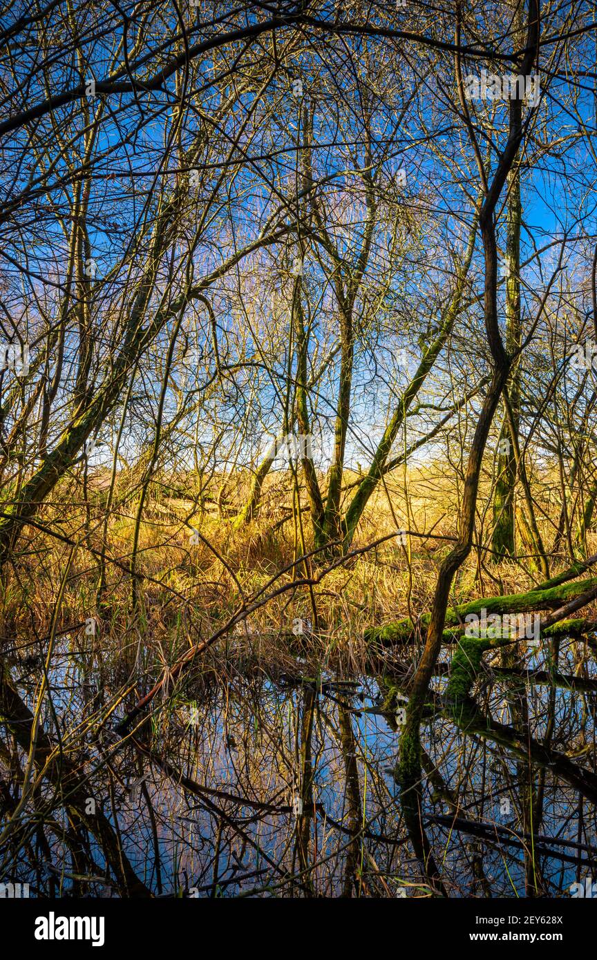Winnall moors hi-res stock photography and images - Alamy