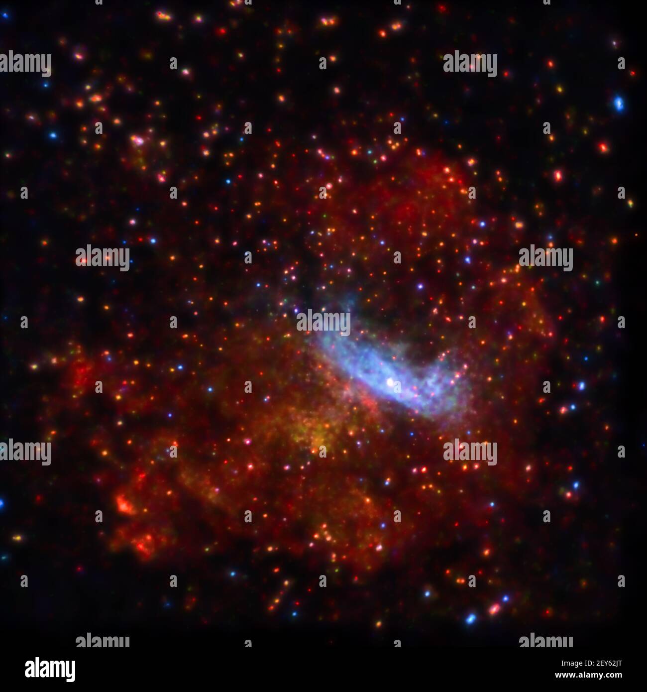 A long observation with Chandra of the supernova remnant MSH 11-62 ...