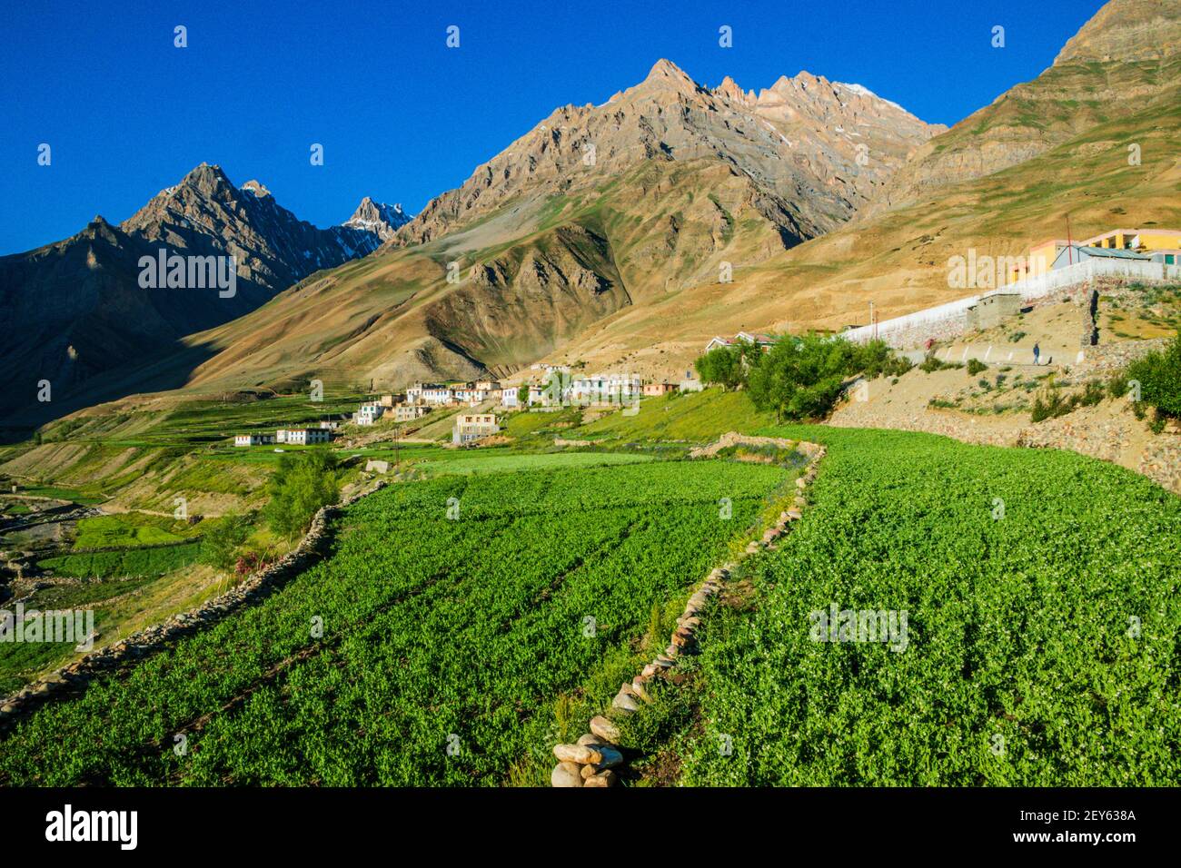 Pin parvati hi-res stock photography and images - Alamy