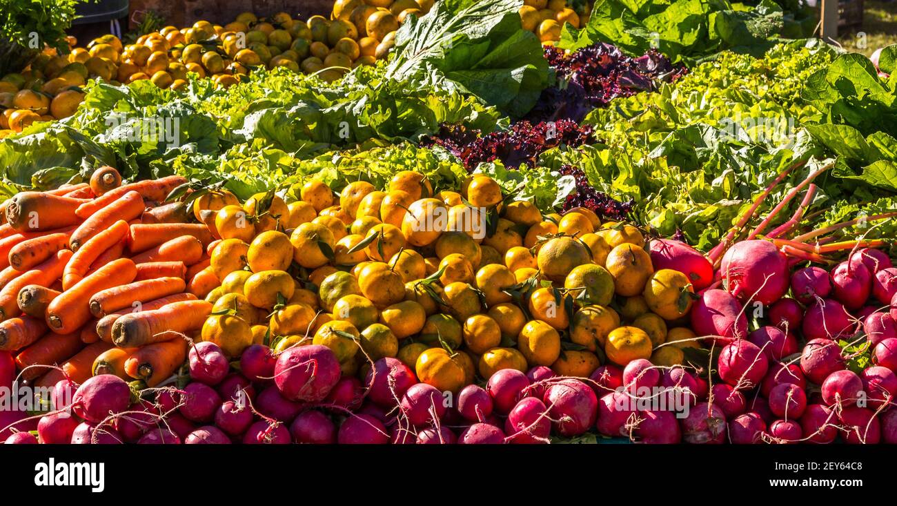 A closeup of various types of vegetables stacked on each other in the ...
