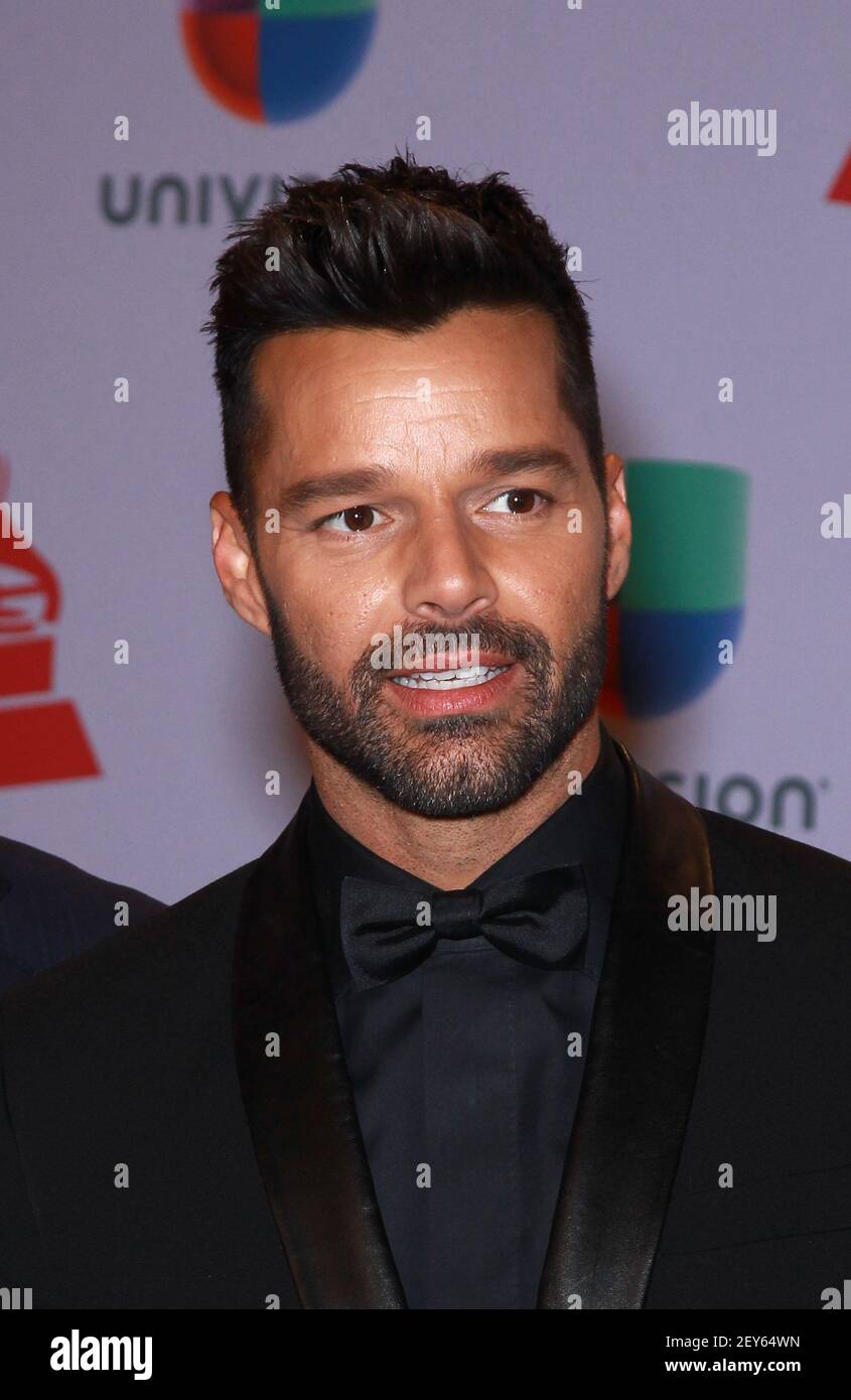 20 November 2014 - Las Vegas, Nevada - Ricky Martin. 15th Annual Latin ...