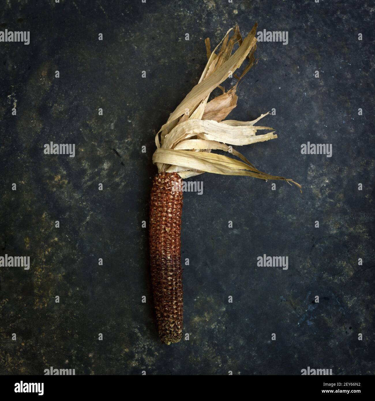 A top view of an empty corncob isolated on the black background Stock ...