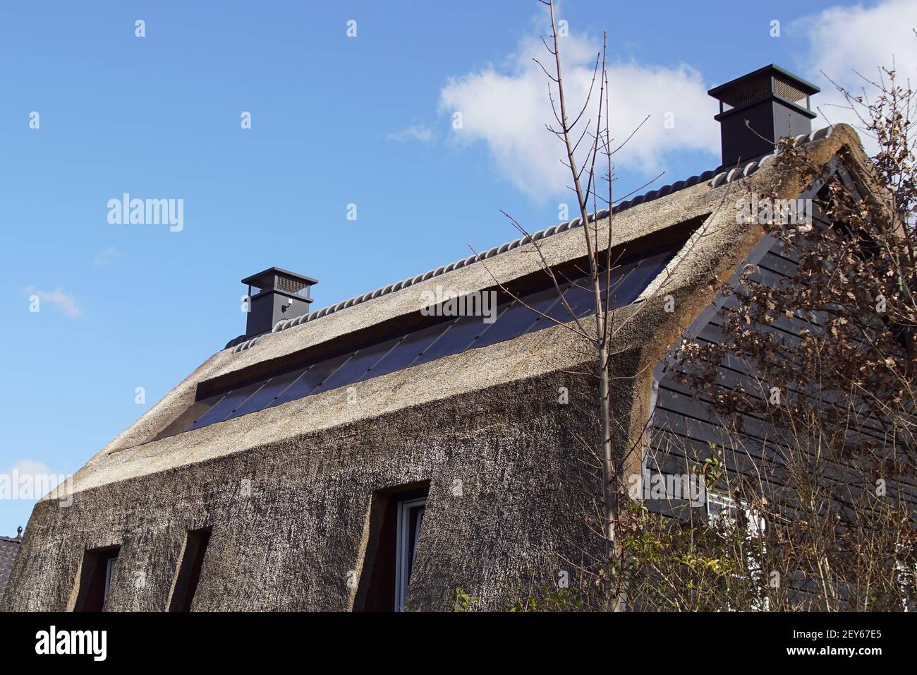 Dutch house with a thatched roof containing solar panels. Late winter ...