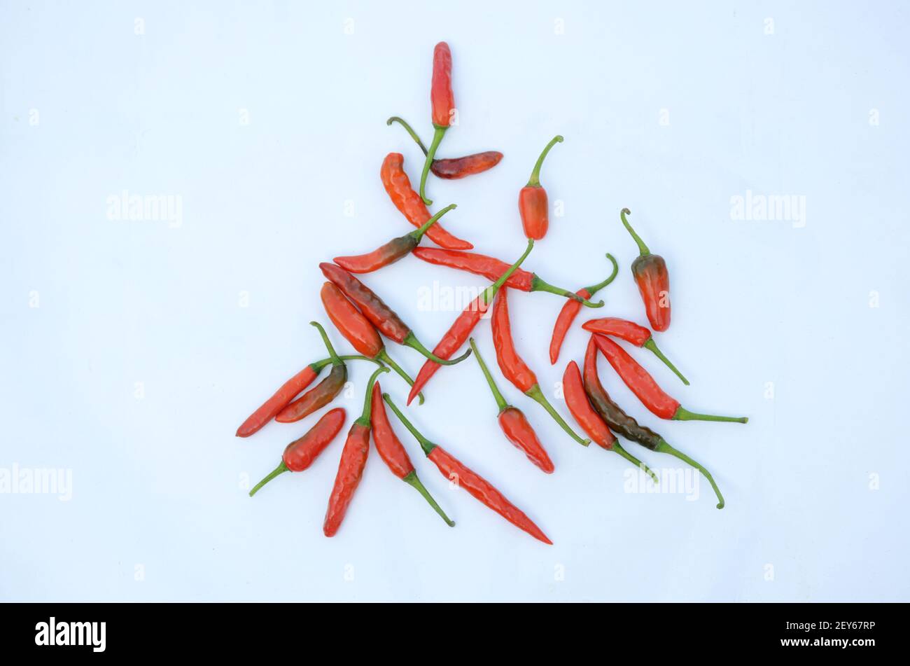 A pile of fresh red chilies isolated on white background Stock Photo ...