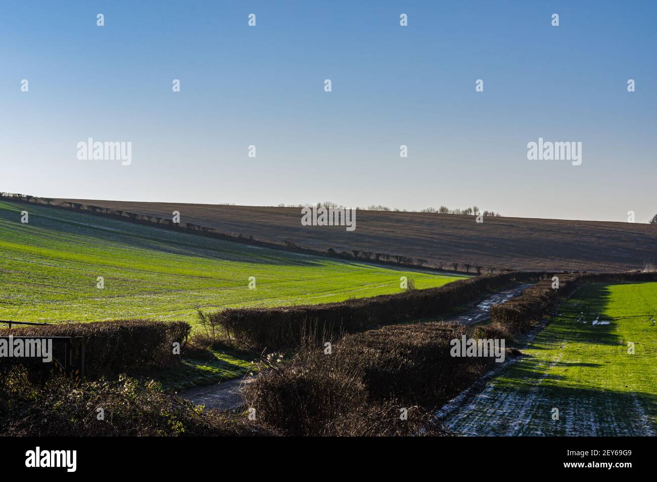 Kings worthy winchester hi-res stock photography and images - Alamy