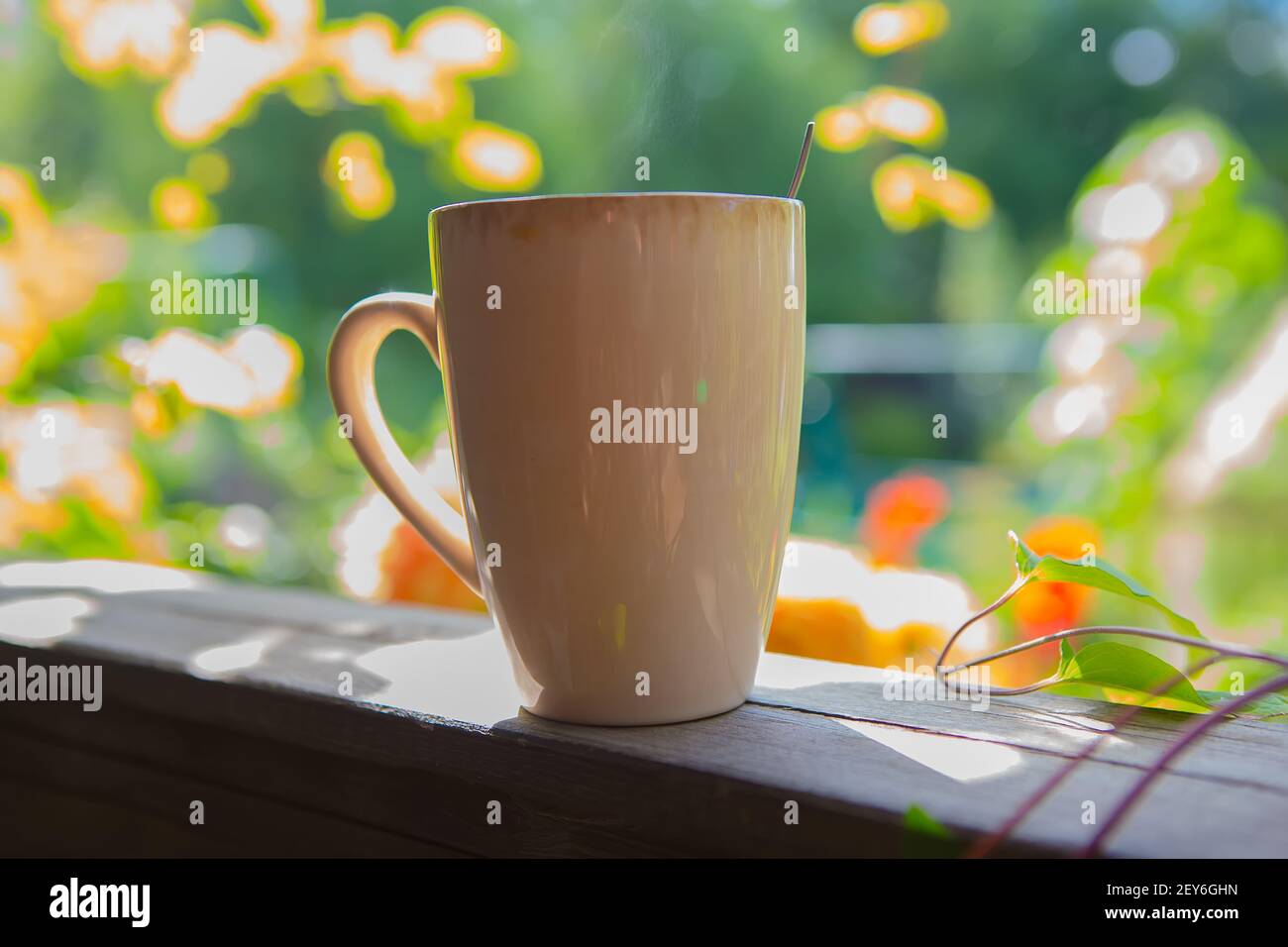 morning black coffee in cup outdoors Stock Photo - Alamy