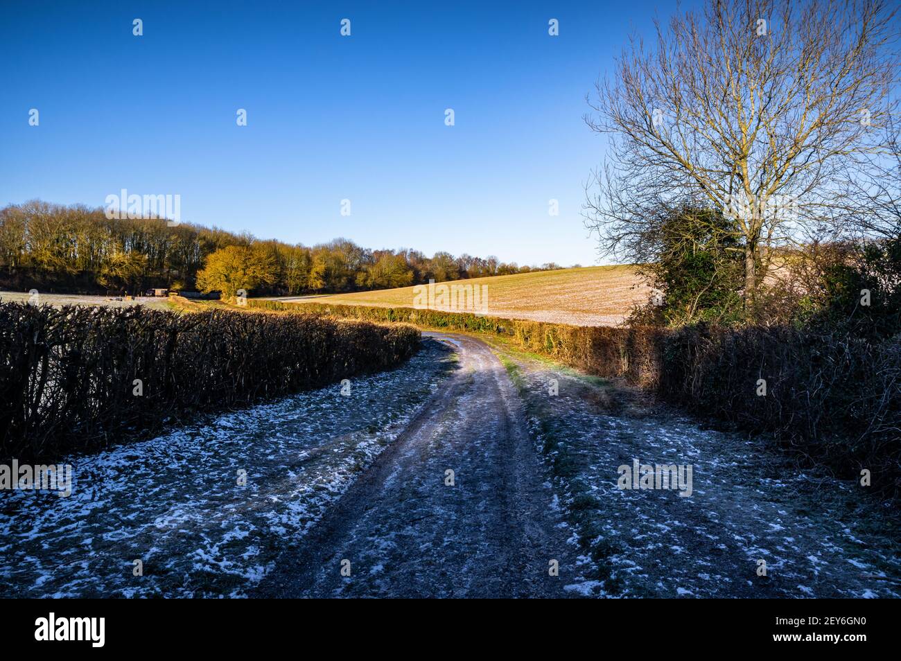 Frost frosty cold blue countryside rural hi-res stock photography and ...