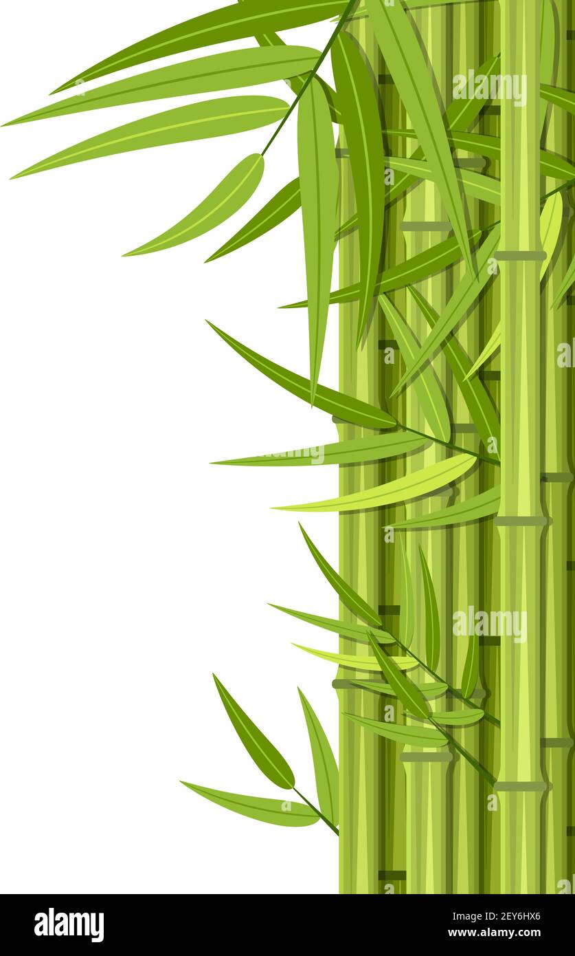 Vector green bamboo stems Stock Vector Image & Art - Alamy