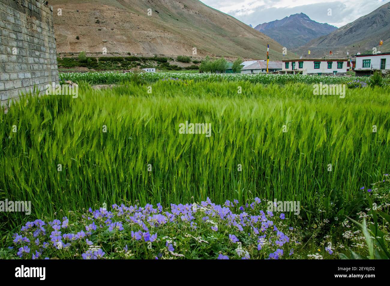 Different views of the Pin Valley Stock Photo - Alamy