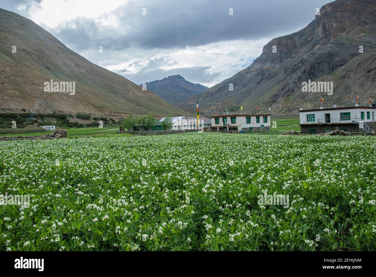 Pin valley hi-res stock photography and images - Alamy