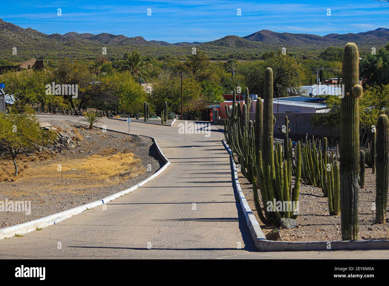 Desierto de concreto hi-res stock photography and images - Alamy