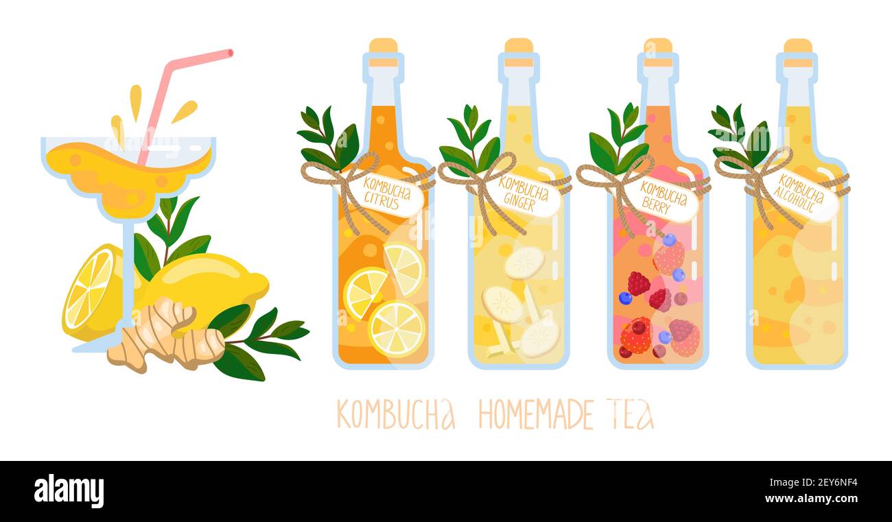 Kombucha healthy drink Stock Vector Images - Alamy