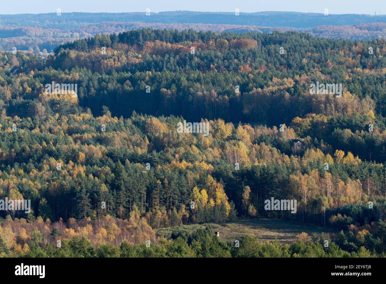 Polish golden autumn in Wiezyca, Poland. October 23rd 2020 © Wojciech ...