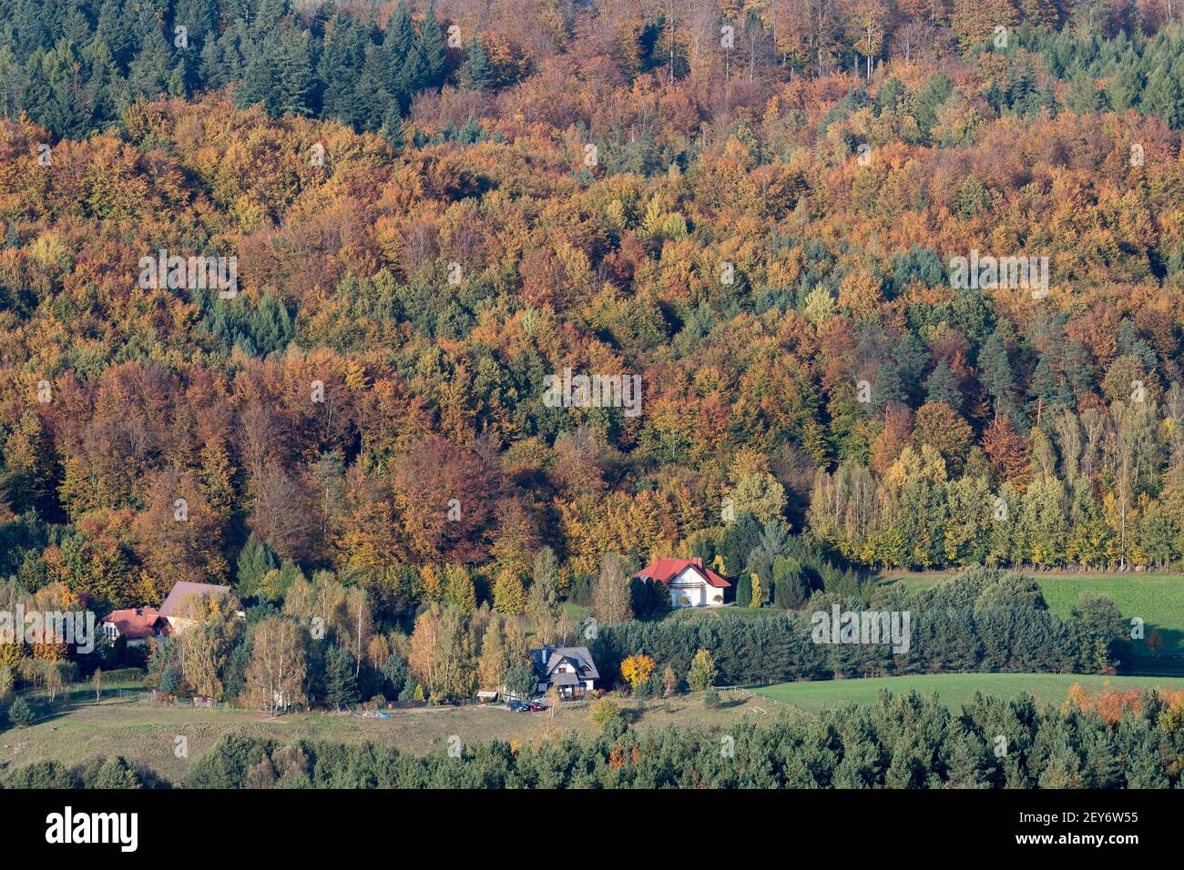 Polish golden autumn in Wiezyca, Poland. October 23rd 2020 © Wojciech ...