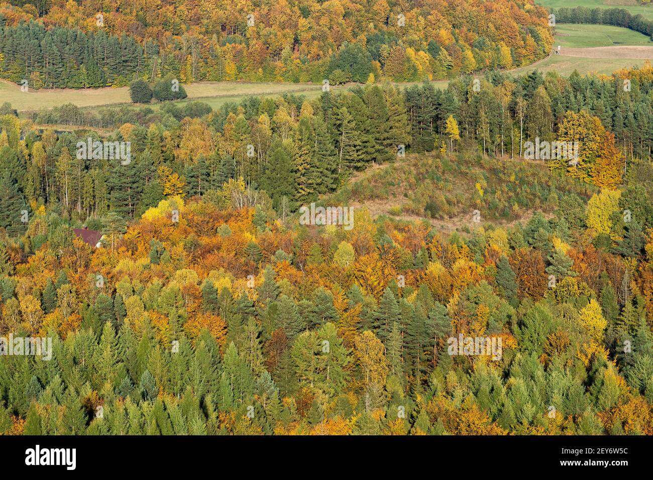 Polish golden autumn in Wiezyca, Poland. October 23rd 2020 © Wojciech ...