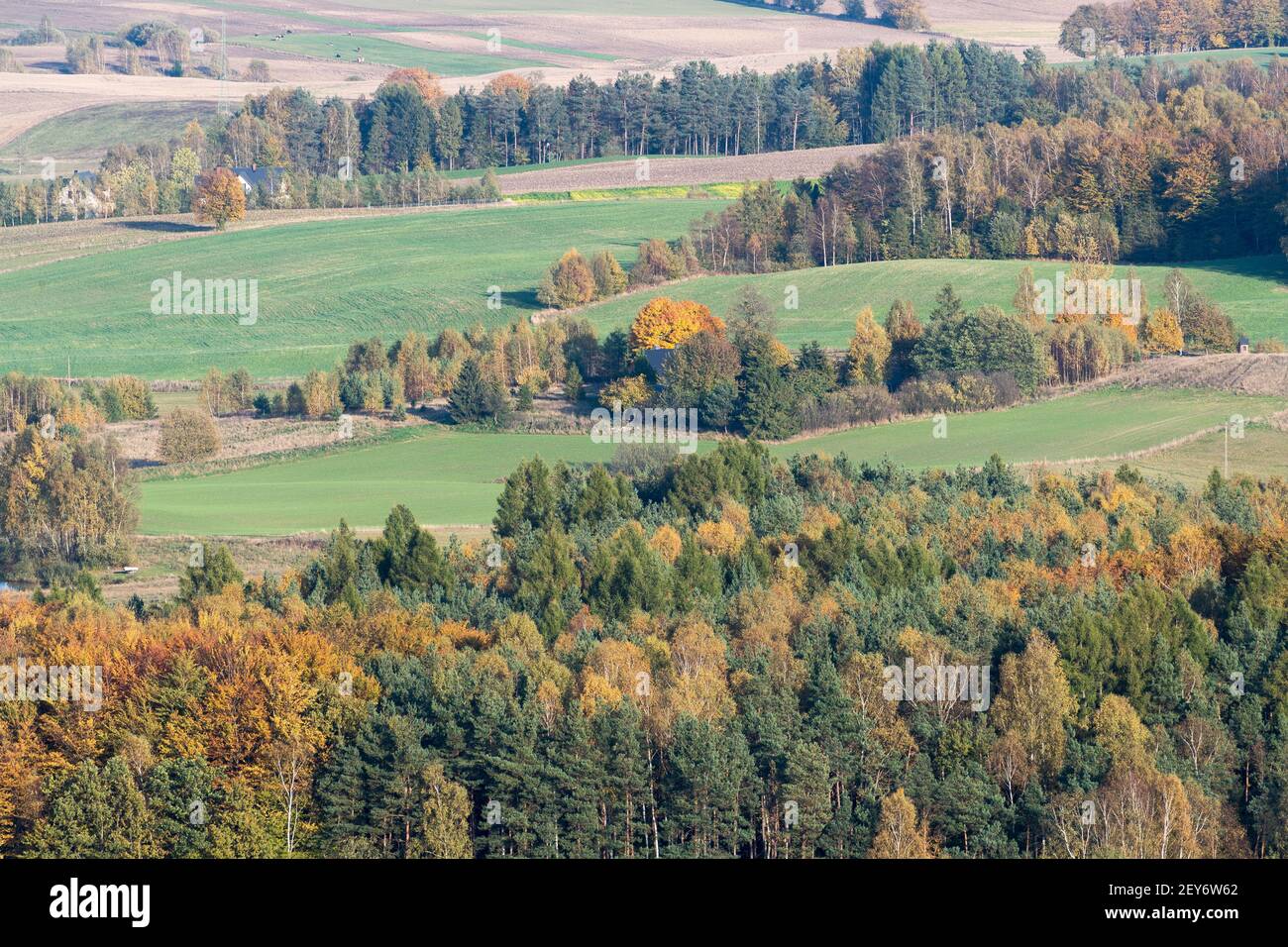 Polish golden autumn in Wiezyca, Poland. October 23rd 2020 © Wojciech ...