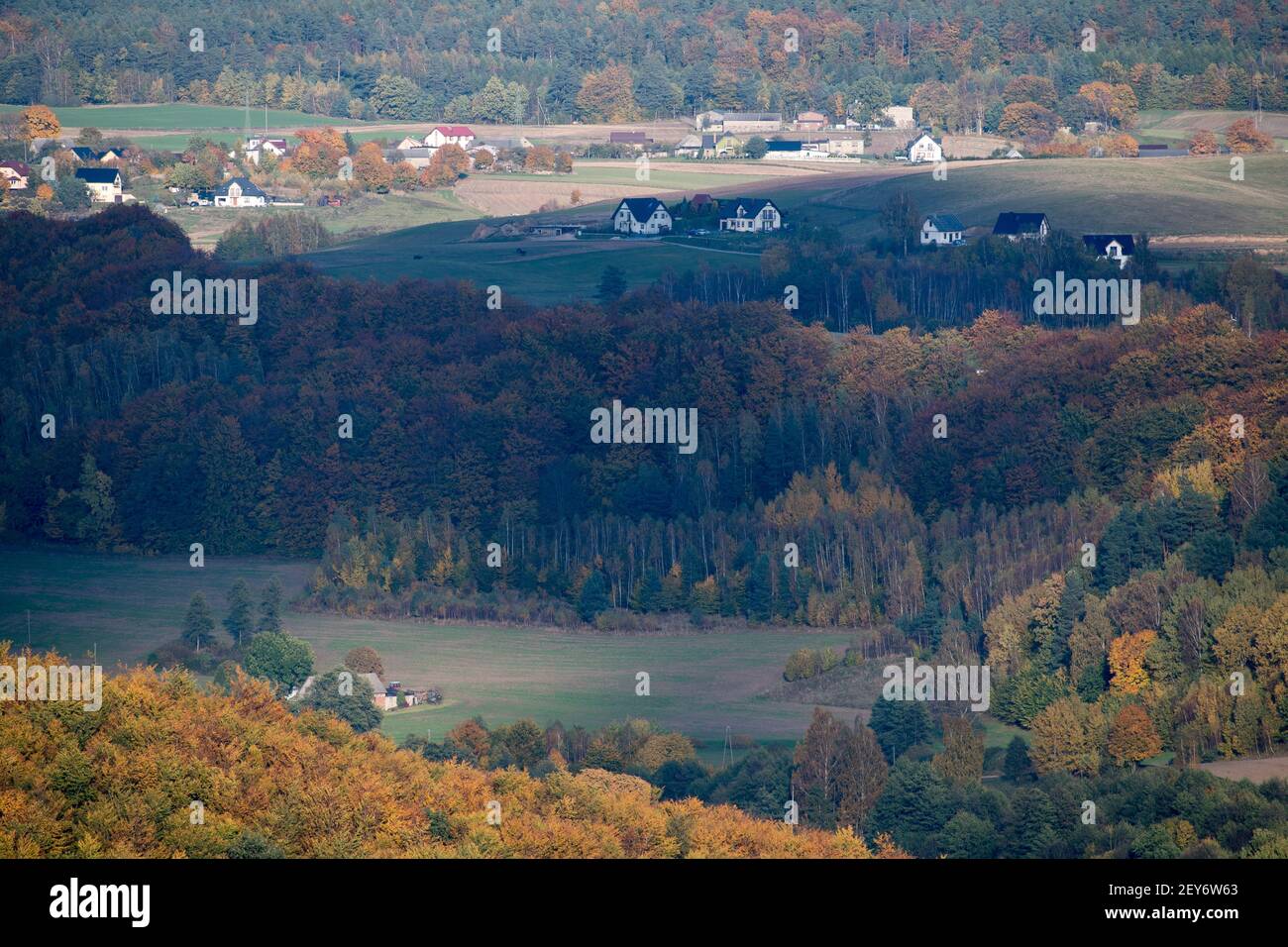 Polish golden autumn in Wiezyca, Poland. October 23rd 2020 © Wojciech ...