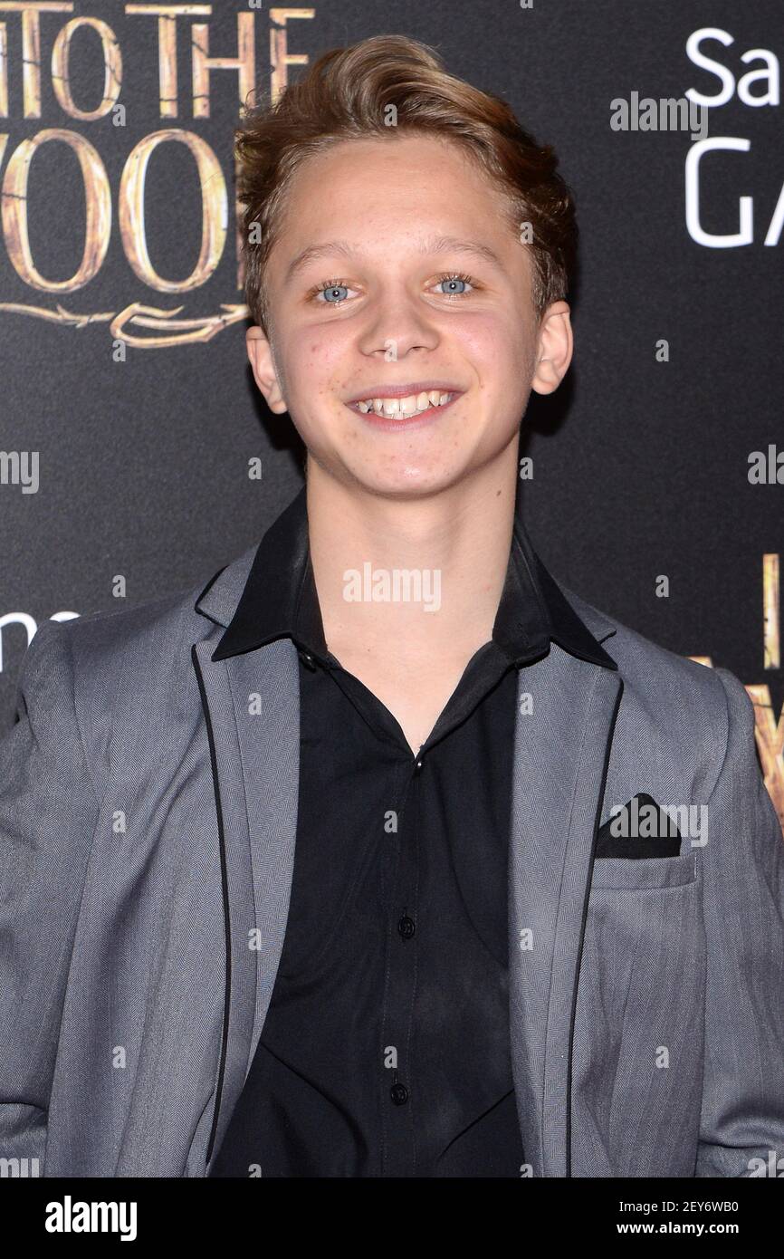 Actor Daniel Huttlestone attends the world premiere of 'Into the Woods ...