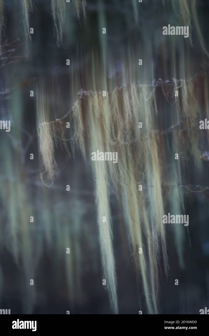 Motion blur vertical hi-res stock photography and images - Alamy