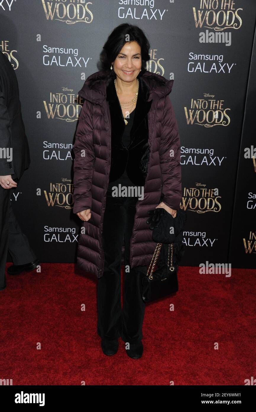 Rachel Ticotin attends the World Premiere of Into The Woods, held at ...