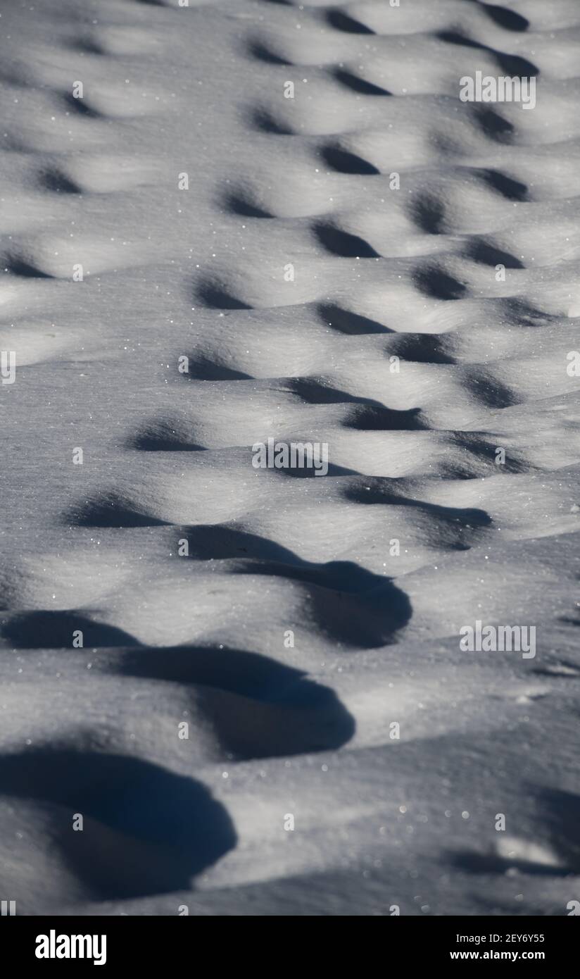 Holes in the snow hi-res stock photography and images - Alamy