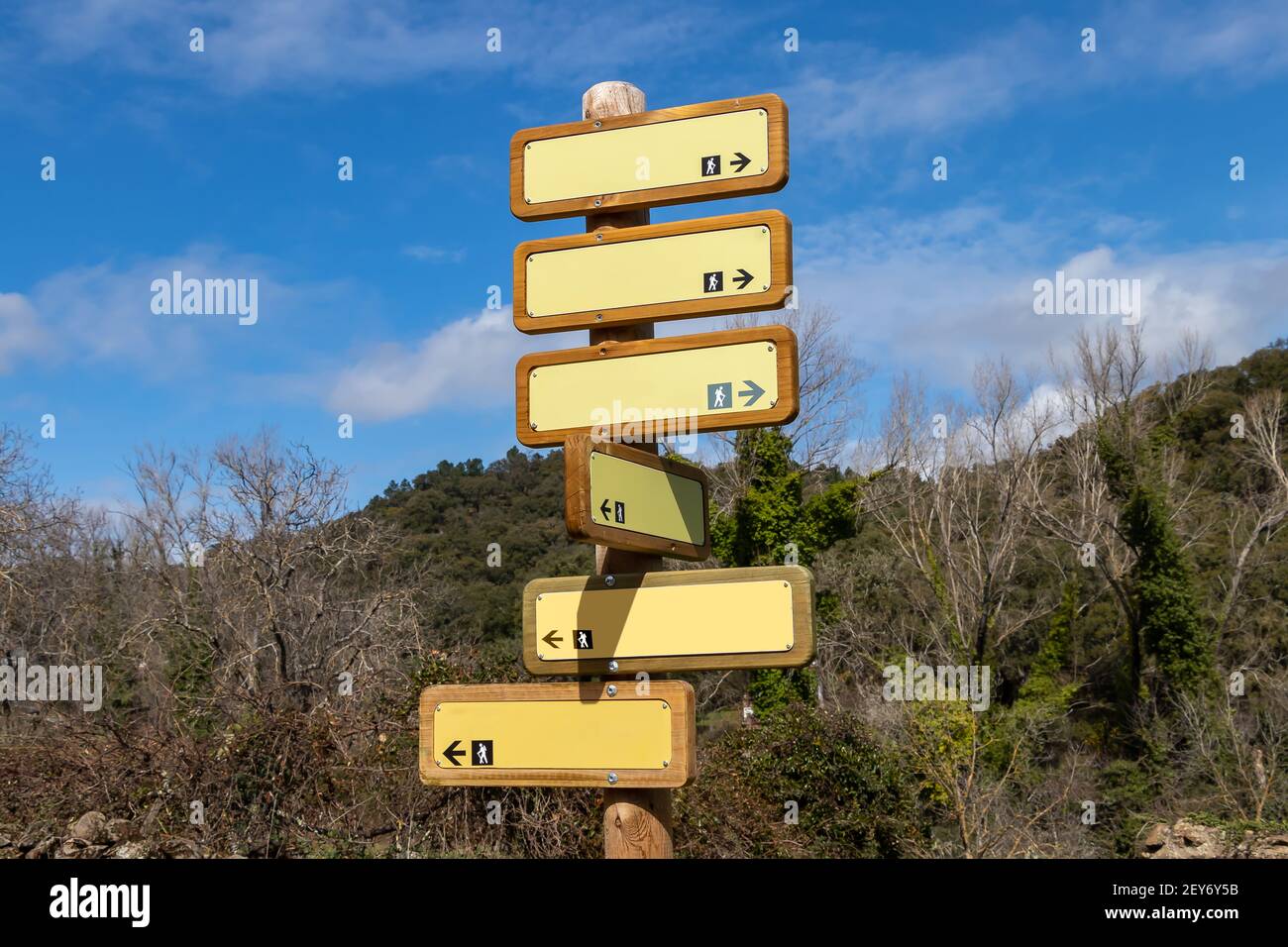 Directional sign tree hi-res stock photography and images - Alamy