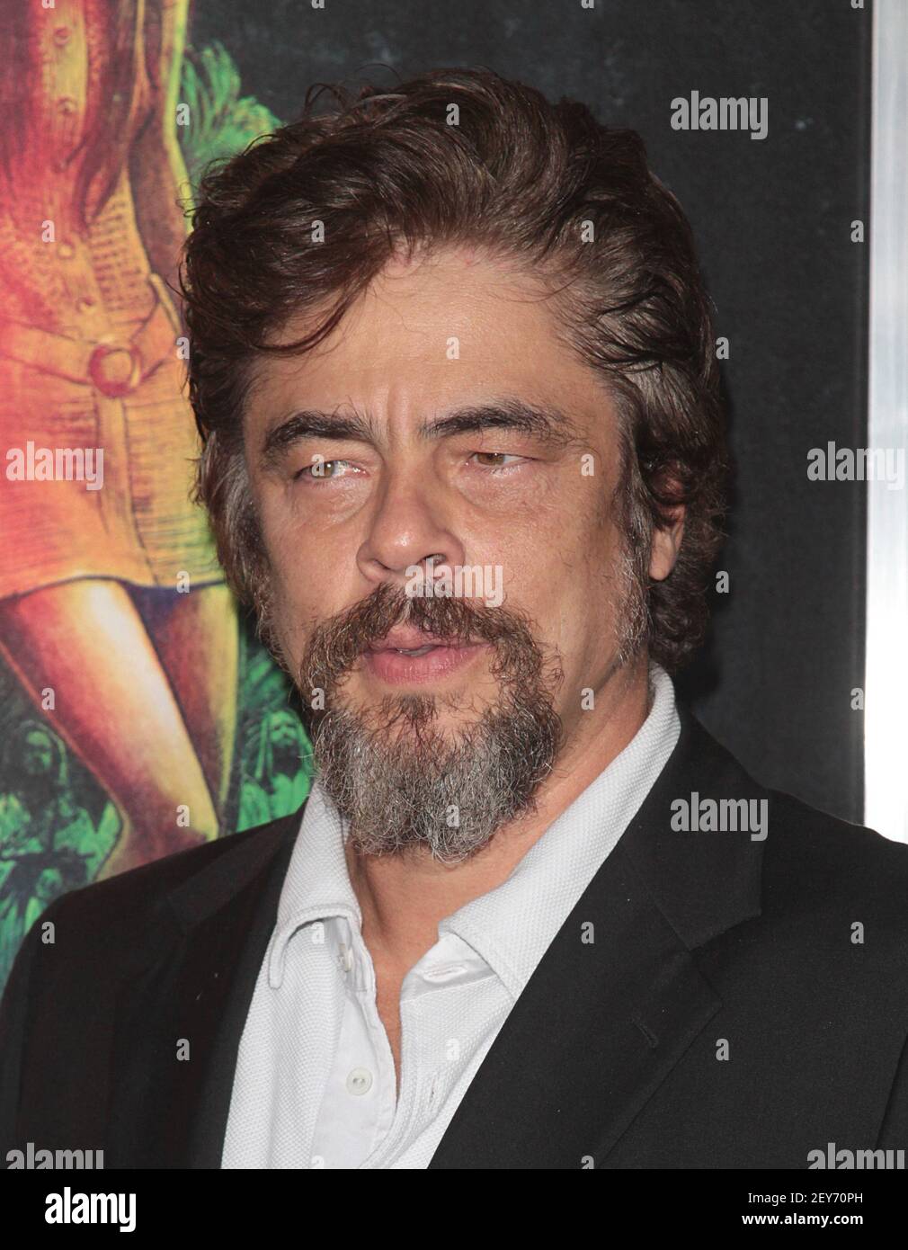 Benicio Del Toro attends The Premiere of "Inherent Vice" held at the ...