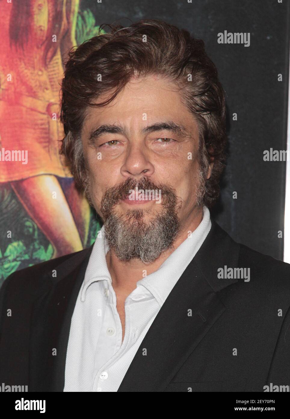 Benicio Del Toro attends The Premiere of "Inherent Vice" held at the ...