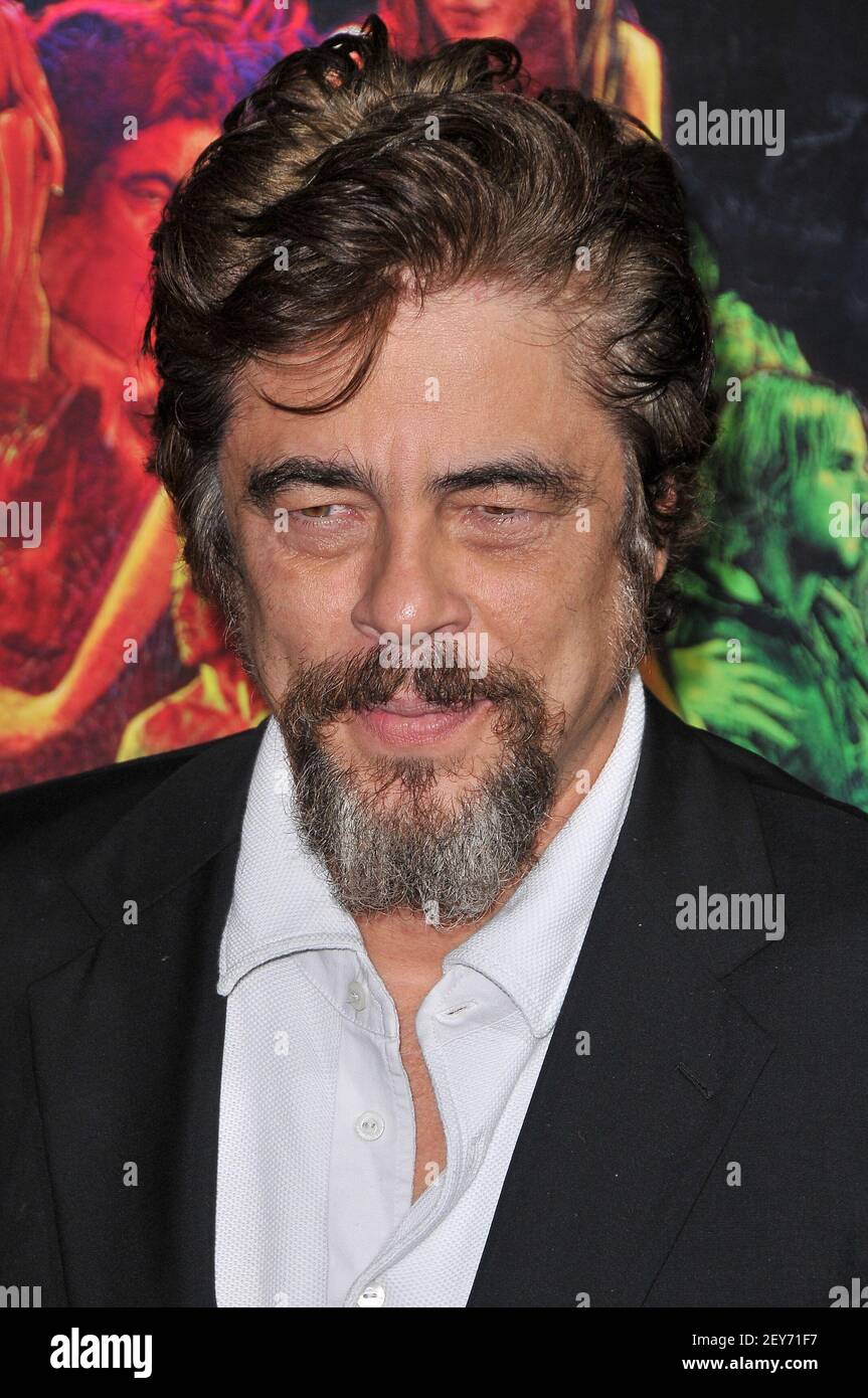 Benicio del Toro attends The Premiere of "Inherent Vice" held at the ...