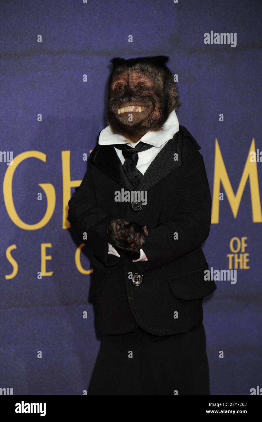 Monkey actor Crystal aka Dexter attends the "Night At The Museum ...