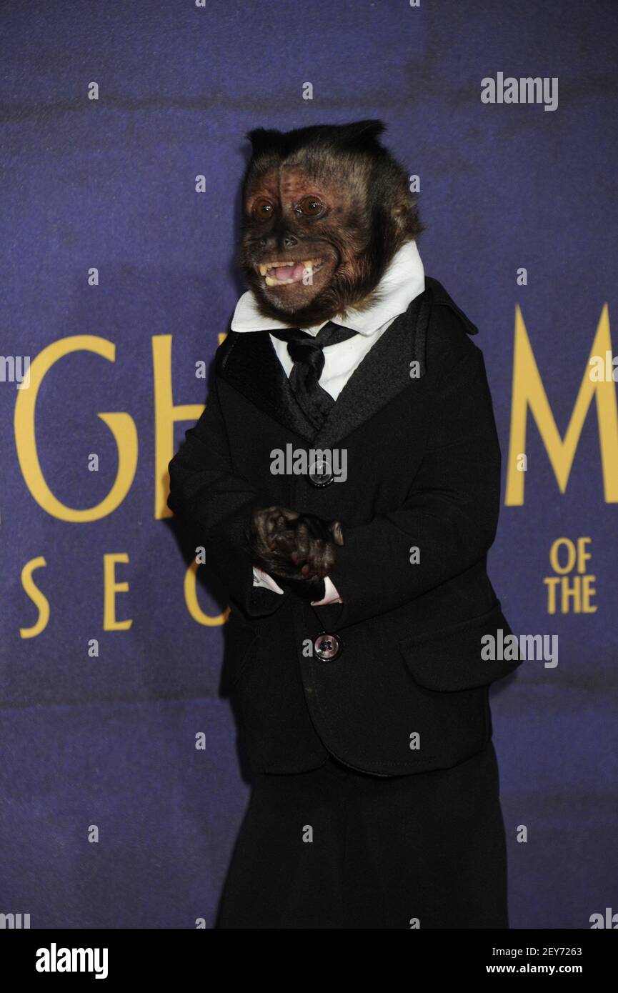 Monkey actor Crystal aka Dexter attends the "Night At The Museum ...
